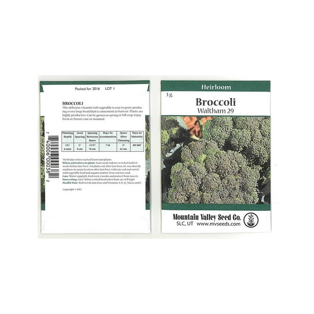 Broccoli Seeds - Waltham 29 - 3 Gram Packet - Non-GMO, Heirloom ...