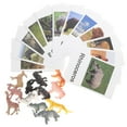 Stri 1 Set Learning Words Animal Cards Toy Early Education Animal Model Match Cards - Walmart.com