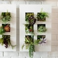 Shop Living Walls BG-WM8CB Chalkbaord Wall Mounted Living Wall Frame ...