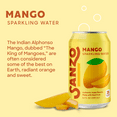 Sanzo Mango Sparkling Water 12 fl oz Cans Pack of 6 - Walmart.com
