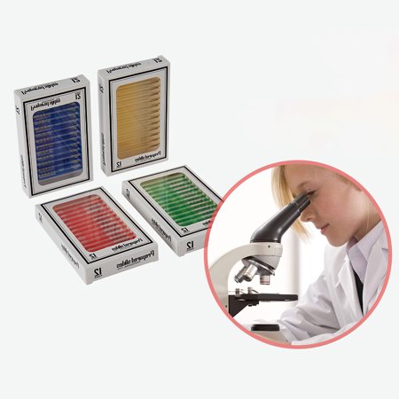 48pcs Complete Microscope Slides Insect Specimens Animals Biology ...