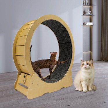 YODOLLA 45” Cat Treadmill Large XL Quiet Cat Exercise Running Wheel for ...