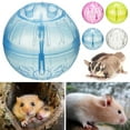 QenASHaing Acrylic hamster exercise ball 3.9 inch, clear see-through ...