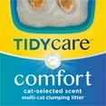 Purina Tidy Cats Multi Cat Scented Clumping Cat Litter Tidy Care