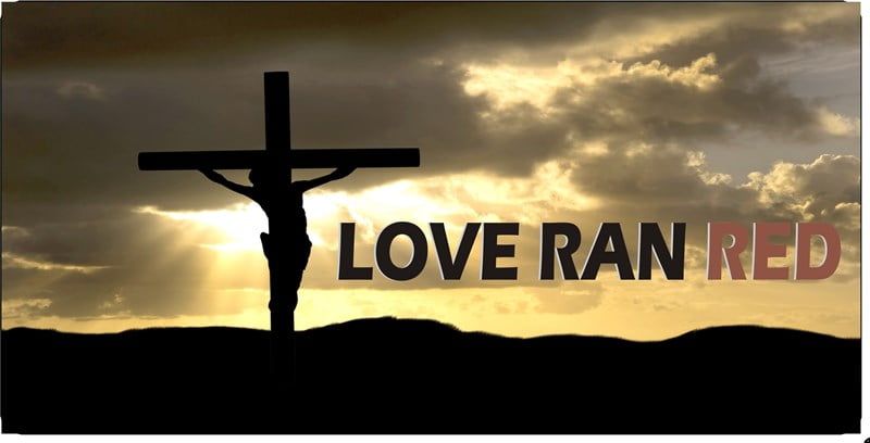 Love Ran Red Photo License Plate - Walmart.com