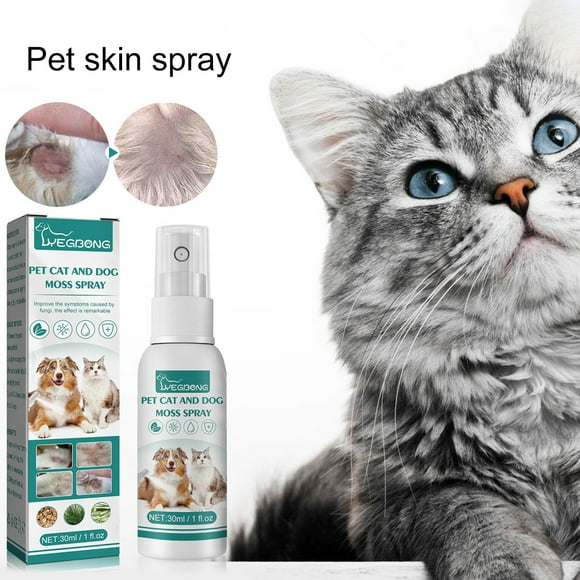 Ringworm Treatment Cats