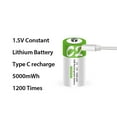 LANKOO USB C Lithium Ion Rechargeable C Battery Fast Charge with Type C ...