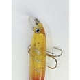Wildlife Lures 3" inch Bunker Hard Fishing Lure Bait (Royal Gramma Bass ...