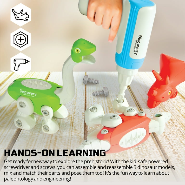 Paleontology Tools For Kids