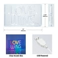 BrightSide Love Wins 12x7 Multicolor LED Neon Light Box USB-Powered ...