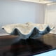 Giant 22" Clam Shell Tridacna Gigas Clamshell White and Gray Seashell ...
