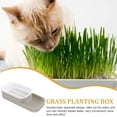 Cat Grass Planting Box Soilless Planter Catnip Pot For Home Pots Plants ...