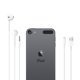 Apple iPod touch 7th Generation 256GB - Space Gray (New Model ...