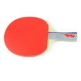 Butterfly 401 Table Tennis Racket Set - 1 Ping Pong Paddle – 1 Ping ...