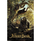 Disney The Jungle Book - Man Cub Wall Poster with Push Pins, 22.375" x ...