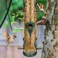 "SNYNUXX Wild Bird Feeders, Anti-Squirrel Tube Feeder, 6 Feeding Ports ...