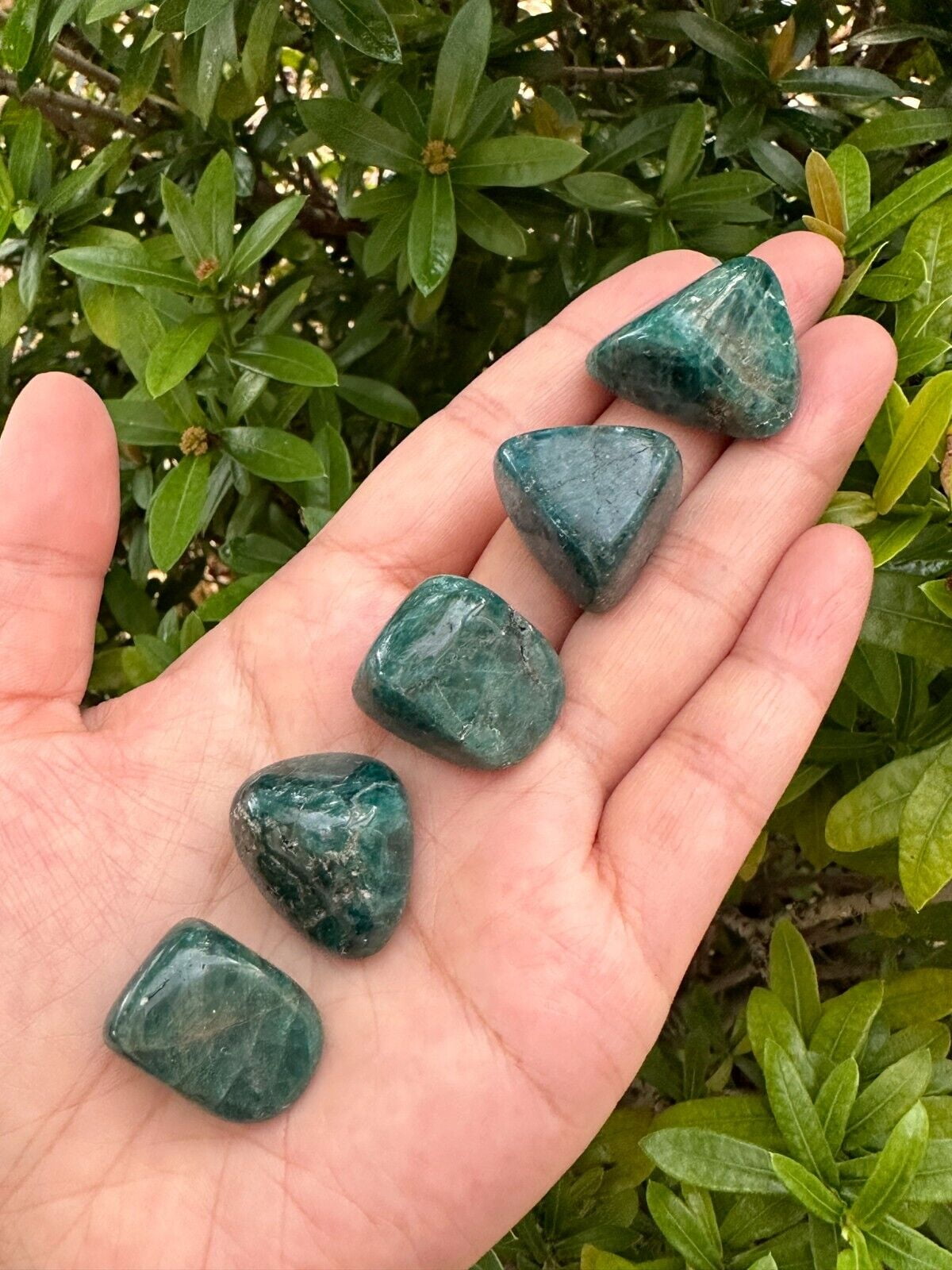 Apatite Tumbled Stones, 0.75-1.25 Inch Tumbled Apatite, Healing Crystal ...