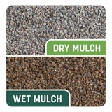 Pennington Smart Patch Mixed Sun or Shade Seed/Fertilizer/Mulch Repair ...