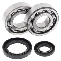 All Balls Racing Crank Bearing and Seal Kit 24-1017 For Suzuki RM 250 ...