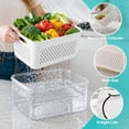 Fruit Storage Containers for Fridge – Removable Colander & Freshness ...