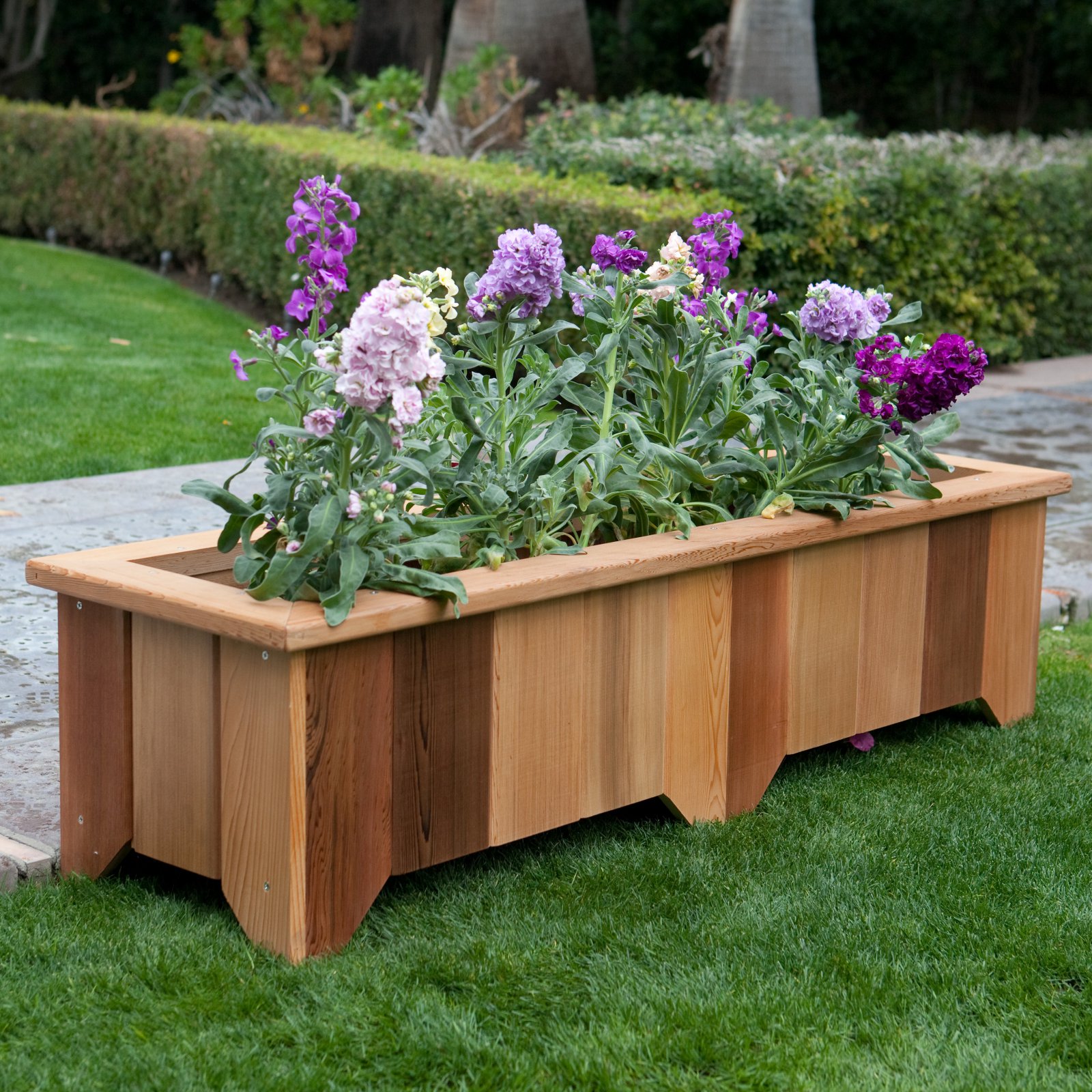 Wood Country Rectangle Cedar Wood Pocatello Planter Set Of 2 Wood Country Rectangle Cedar Wood Pocatello Planter Set Of 2