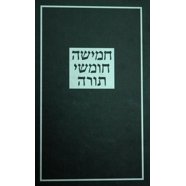 Learning to Read Talmud: What It Looks Like and How It Happens ...
