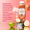 (2 pack) Synergy The Real Kombucha Guava Goddess, 16 fl oz - Walmart.com