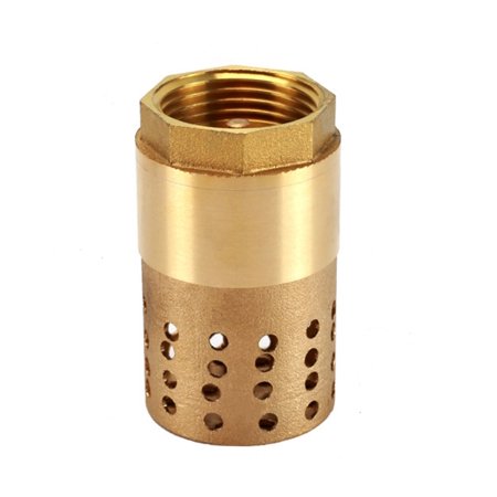 inch pump check valve - foot valve check valve (1 inch) - Walmart.ca
