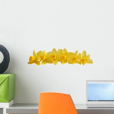 Daffodil Wall Decal by Wallmonkeys Peel and Stick Graphic (18 in H x 10 ...