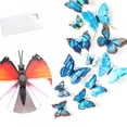 XIBUFE 2026 New 24Pcs Butterfly Fridge Magnets,3D Butterfly Wing Design ...