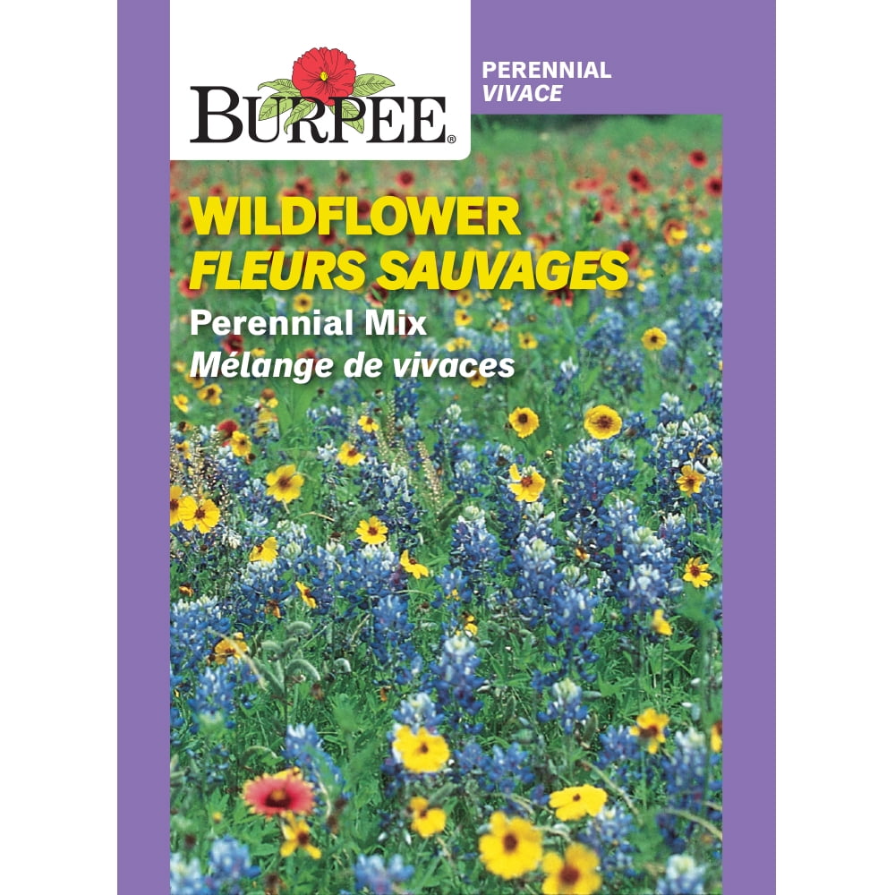 Click here for Burpee Canada Burpee Perennial Mix Wildflower prices