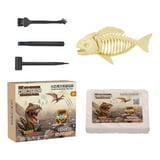 Archaeology Discovery Excavation Kits Archaeology Science Kits for ...