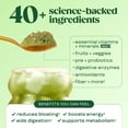 Bloom Nutrition Greens & Superfoods Powder Sticks (Watermelon ...