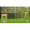 Big Foot Root Boost Azospirillum - Naturally Promotes Rooting, Grow New ...