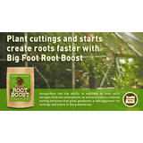 Big Foot Root Boost Azospirillum - Naturally Promotes Rooting, Grow New ...