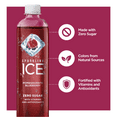 Sparkling Ice® Naturally Flavored Sparkling Water, Pomegranate Blueberry 17 Fl Oz, (Pack of 12 ...