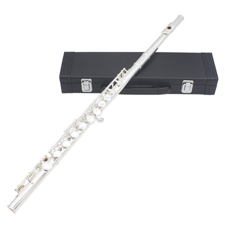 Detachable Flute, With PU Leather Box Stainless Steel Needle Springs ...