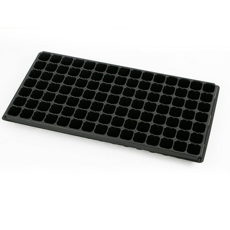 Seedling Vegetable Succulent Sprouts Flat Plate Non-porous Forest ...