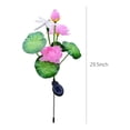 Garden Solar Lights, Landscaping Lighting，Color Changing Combination ...