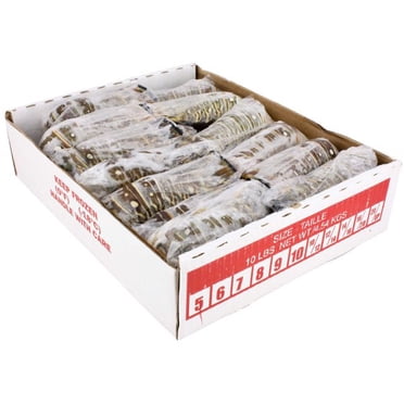 Seamazz 21-25 Raw Tail Off White Shrimp, 2 Pound -- 5 per case ...