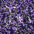 50g Baking Paint Glass Seed Beads Cylinder Indigo 2x1.5mm Hole: 1mm ...