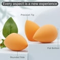 Foundation Sponge, Paw Paw Makeup Blending Beauty Sponge, Makeup Sponge ...