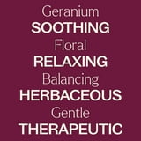 Plant Therapy Geranium Bourbon Essential Oil 100% Pure, Undiluted ...