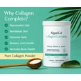 ALGAECAL Collagen Complete - 4 Patented Collagens Supported by 25 ...