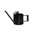 hengtong 300ml Stainless Steel Watering Can Modern Water for Indoor and ...