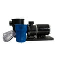 Rx Clear 1 HP Niagara Above Ground Swimming Pool Pump - Walmart.com