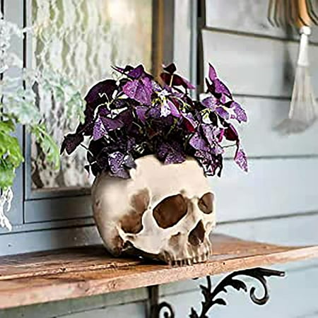 Halloween Skull Statue Resin Head Planter,Mini Succulent Pots Skeleton ...