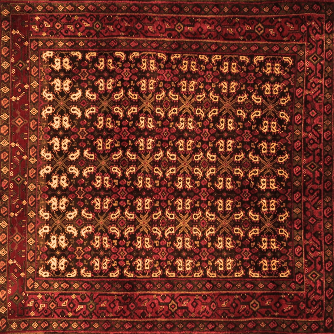 Ahgly Company Indoor Square Persian Orange Traditional Area Rugs, 6 ...