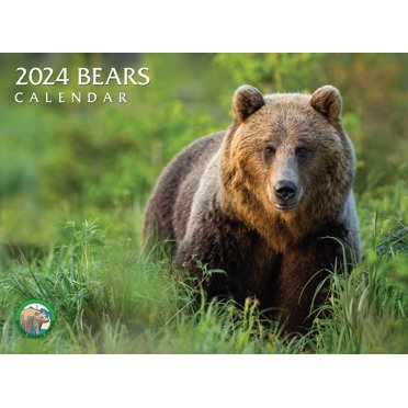 The Teddy Bear 2019 Calendar - Walmart.com
