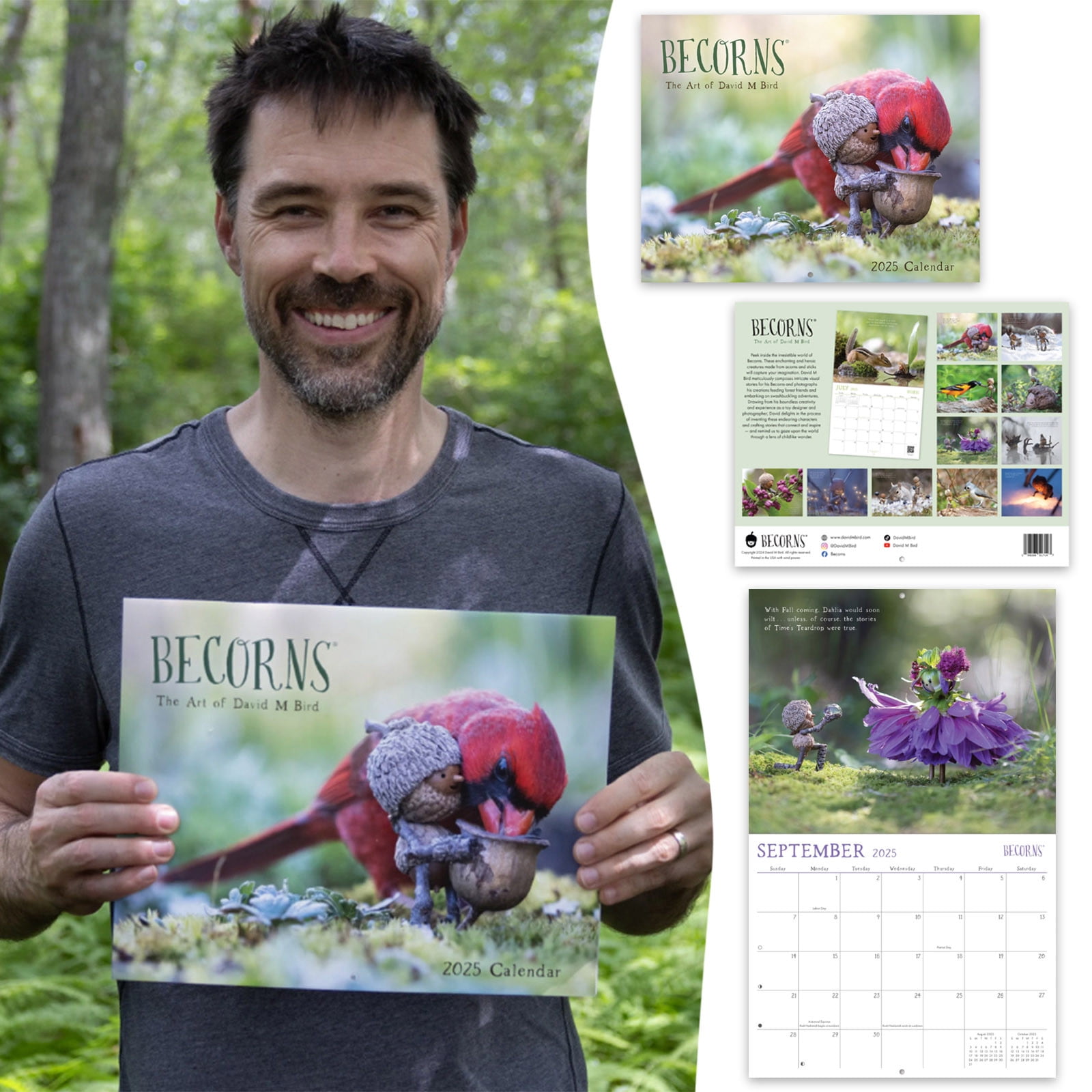 Click here for Hml 2025 Becorns Calendar. Nature And Theme Calend... prices